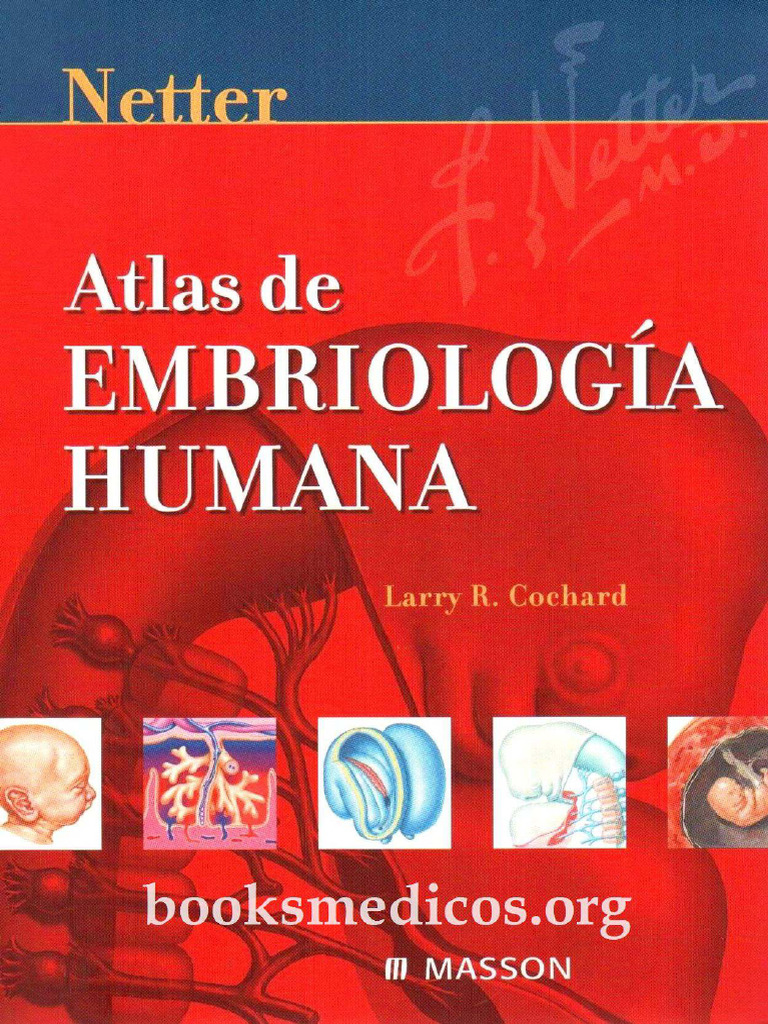 1 Netter Embriologia Humana Atlas | PDF