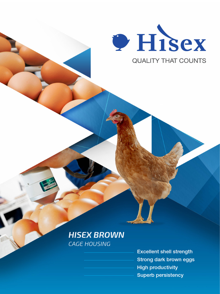 Hisex Brown CS Product Leaflet Cage English L1211-1 CSMPDNZ | PDF | Poultry Farming | Food Industry
