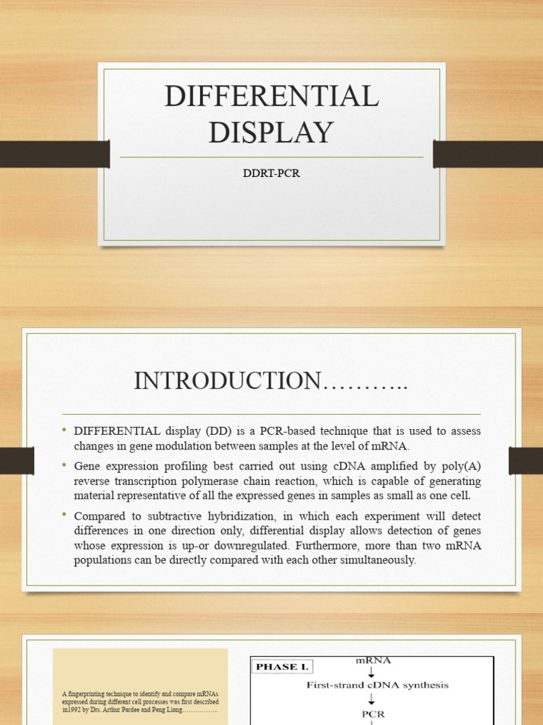 Differential Display | PDF