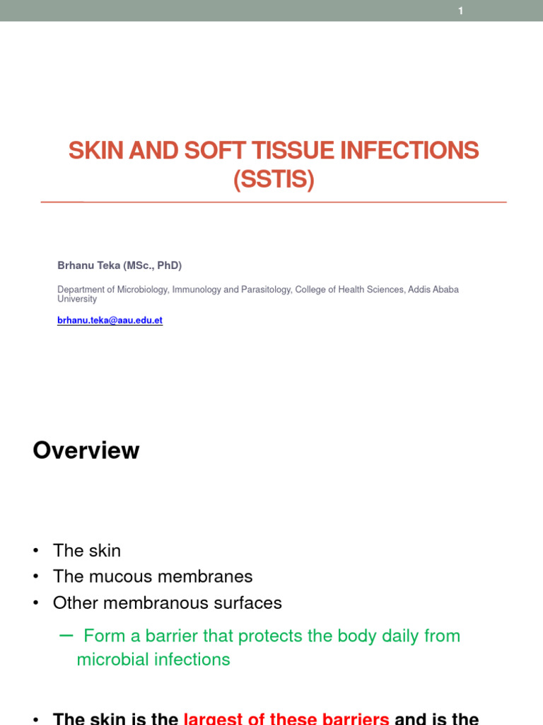 Staphylococcus aureus Skin Infections | PDF