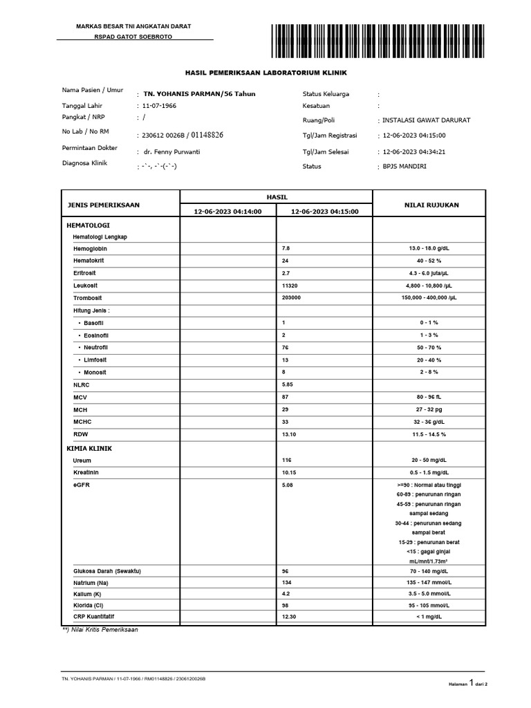 Hasil Lab Darah Lengkap | PDF