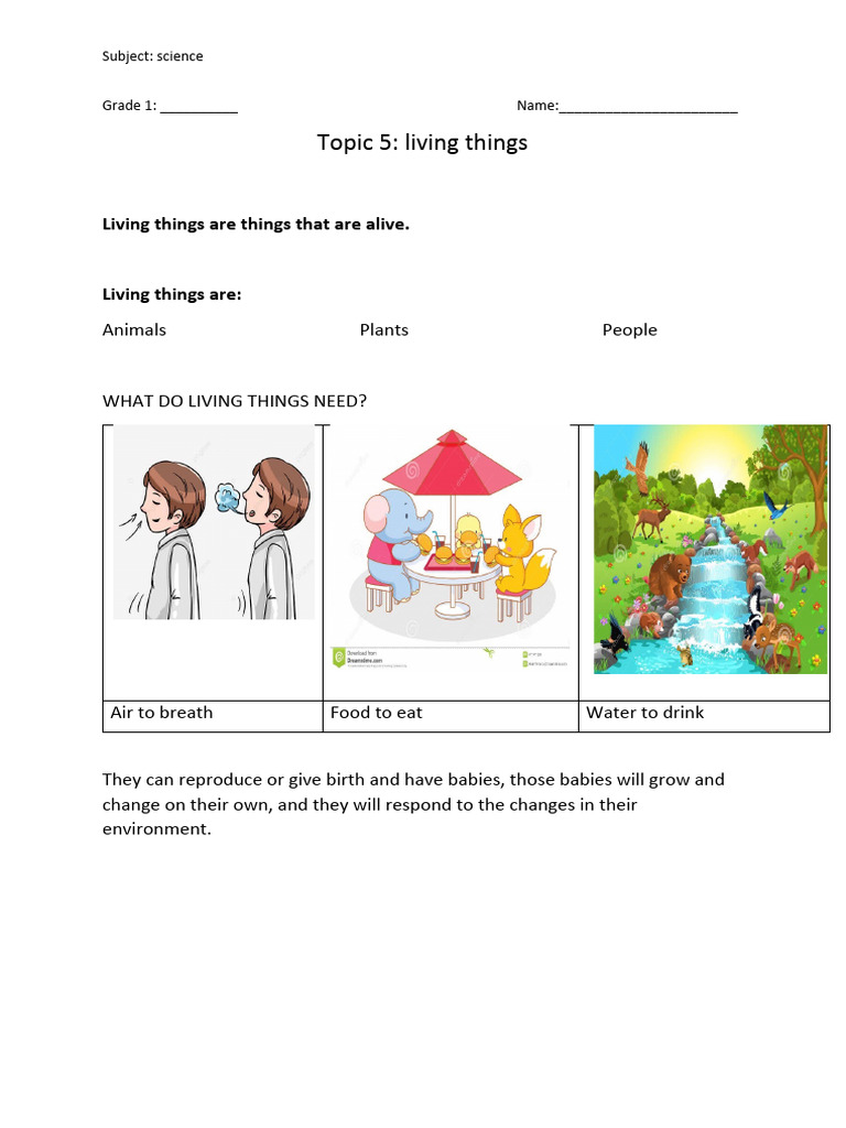 3sYsVw HMW 1631762251 Topic 5 Lesson 1 Summery - Part 1 | PDF