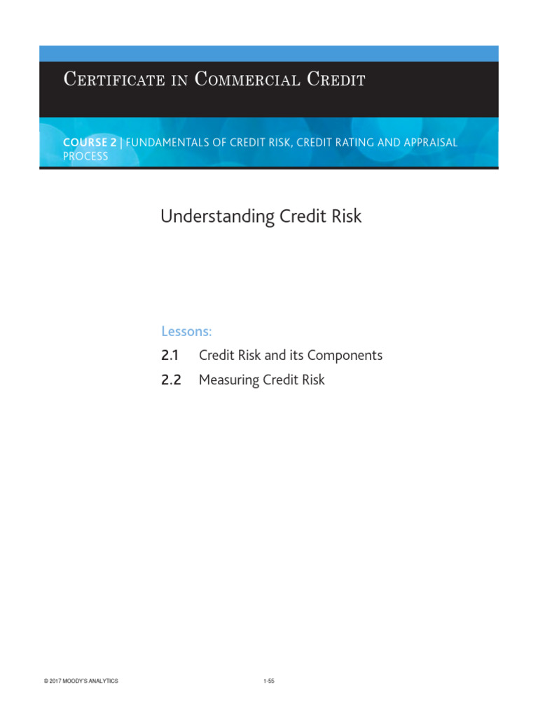 Understanding Credit Risk | PDF