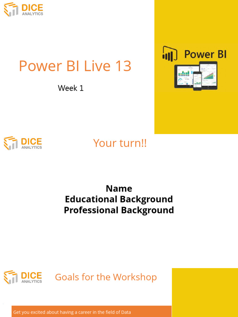 Power BI Week 1 | PDF