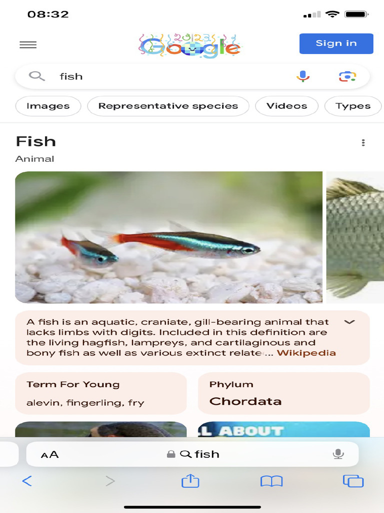 Fish - Google Search | PDF