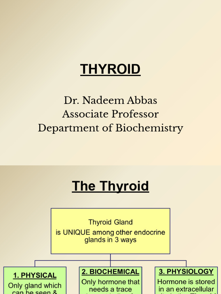 Thyroid Hormone | PDF