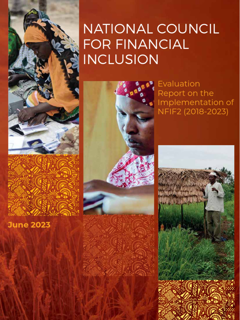Tanzania Financial Inclusion Framework | PDF