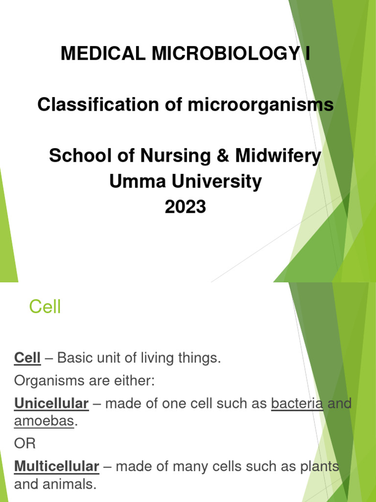 Classifications of Microorganisms | PDF