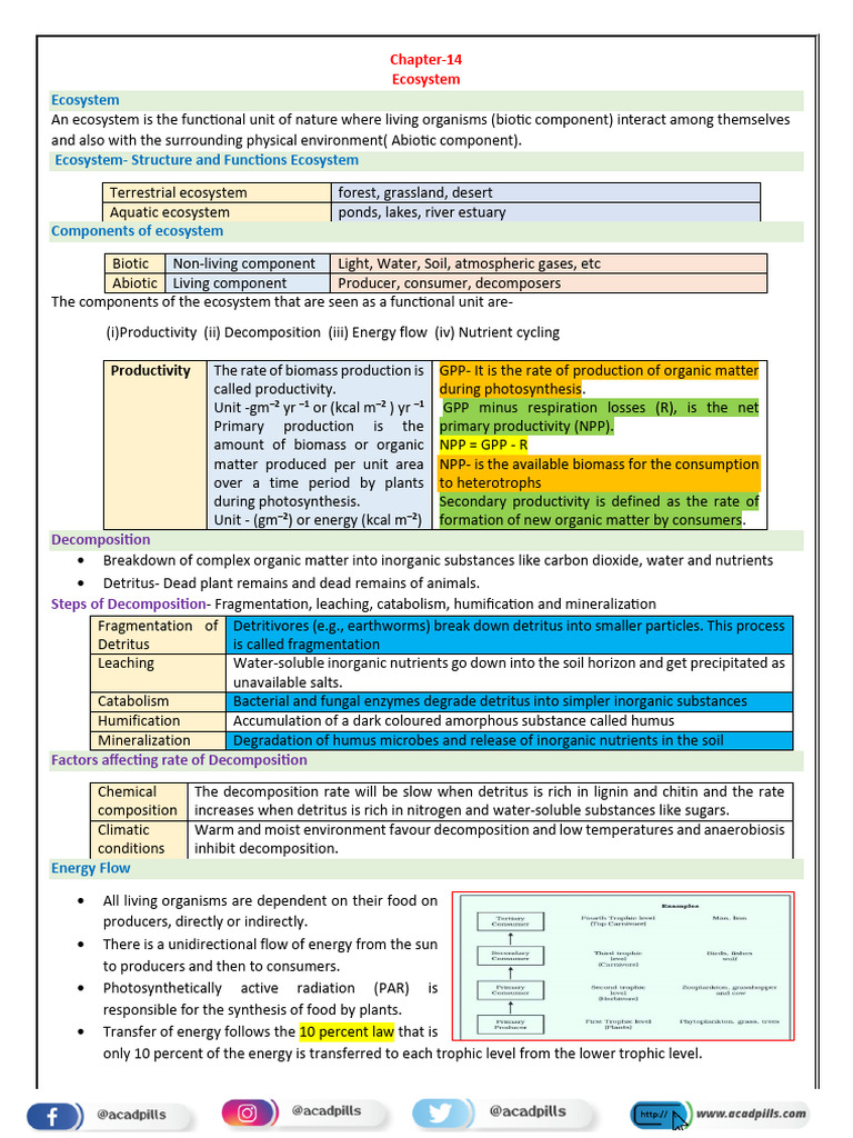 Chapter-14 Ecosystem | PDF | Food Web | Ecosystem