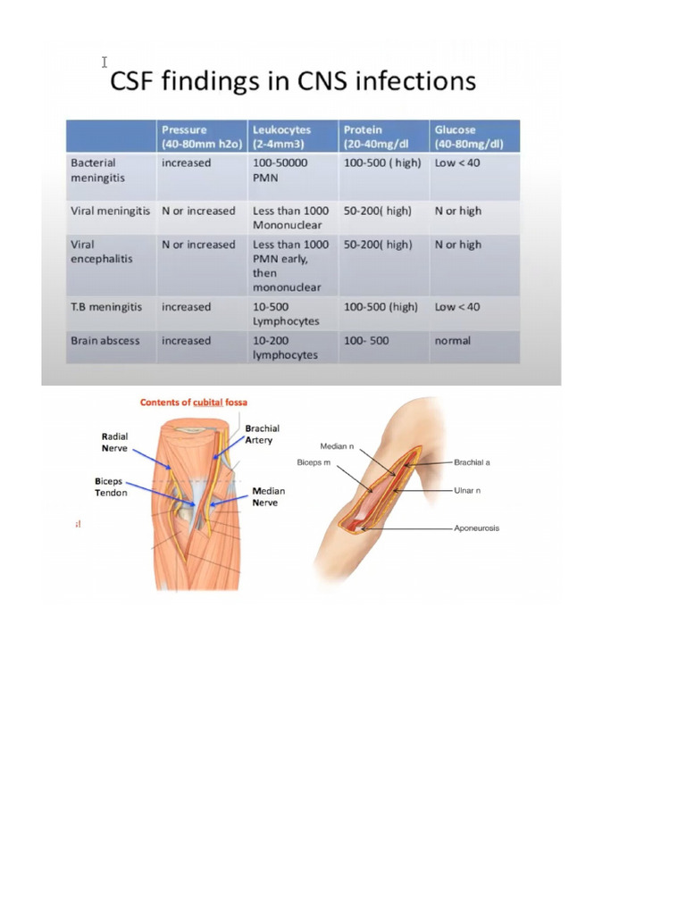 Recalls MRCS Fawzia | PDF