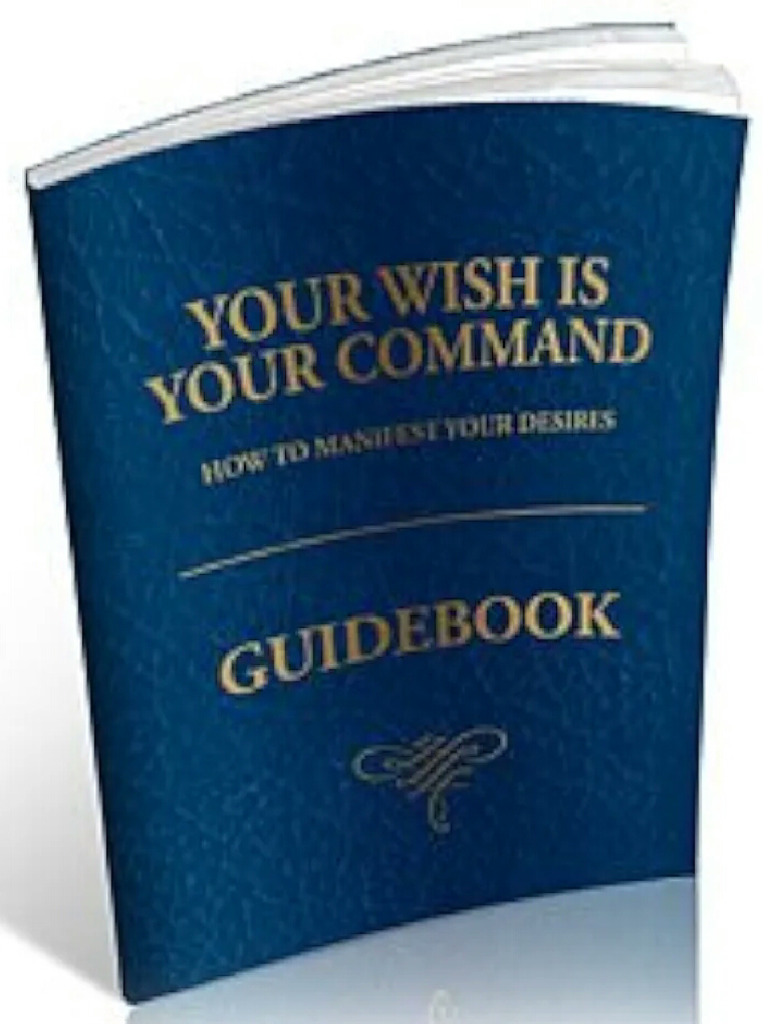 YWIYC Guidebook | PDF
