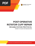 Rotator Cuff and Shoulder Conditioning Program - OrthoInfo - AAOS | PDF | Shoulder | Elbow