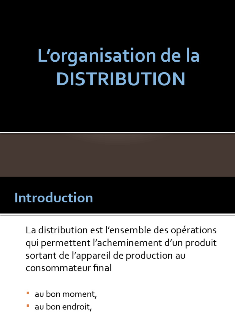 L'Organisation de La Distribution | PDF
