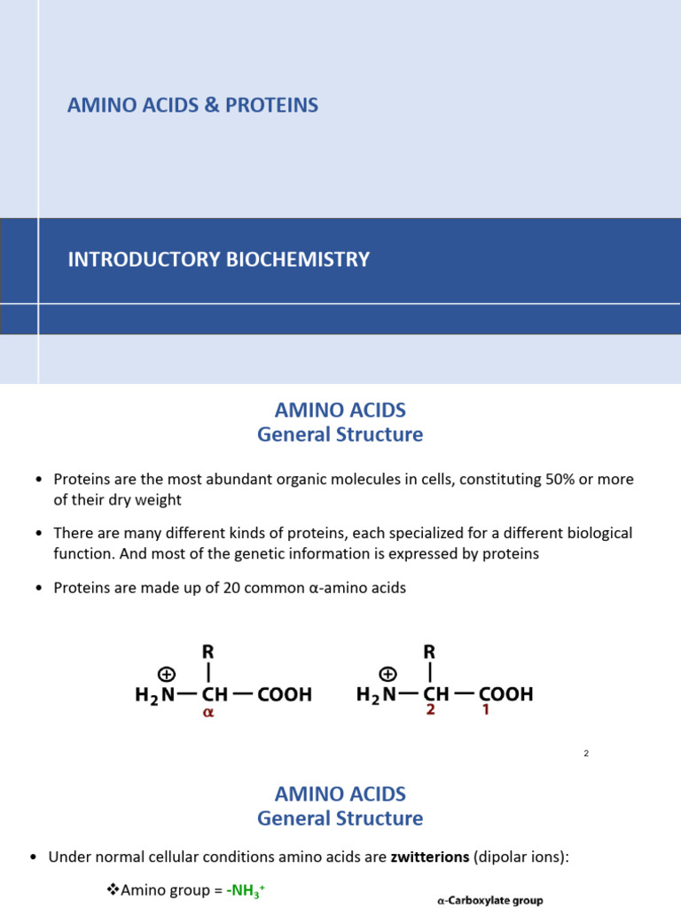 Amino Acids - Proteins | PDF | Beta Sheet | Amino Acid