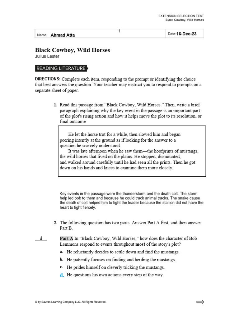 Lit17 - EV - G06 - Balck Cowboy - Wild Horses - Answered | PDF