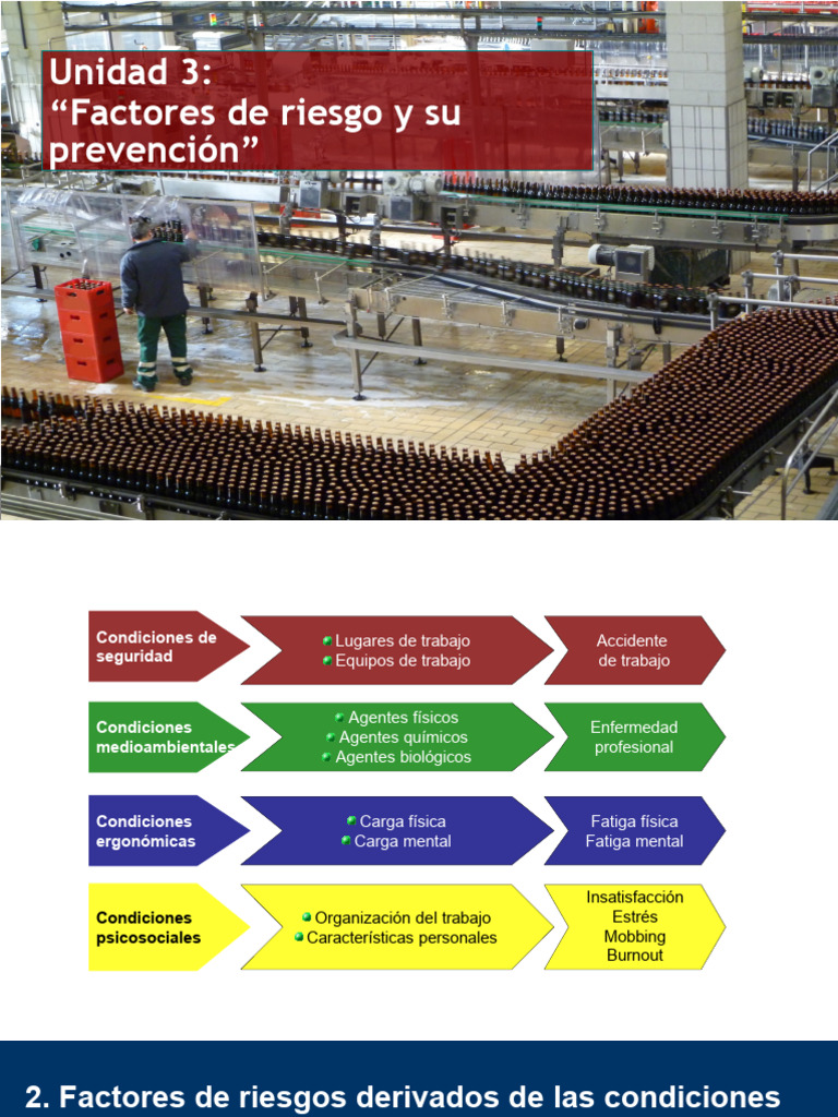 UD 3.factores de Riesgo | PDF