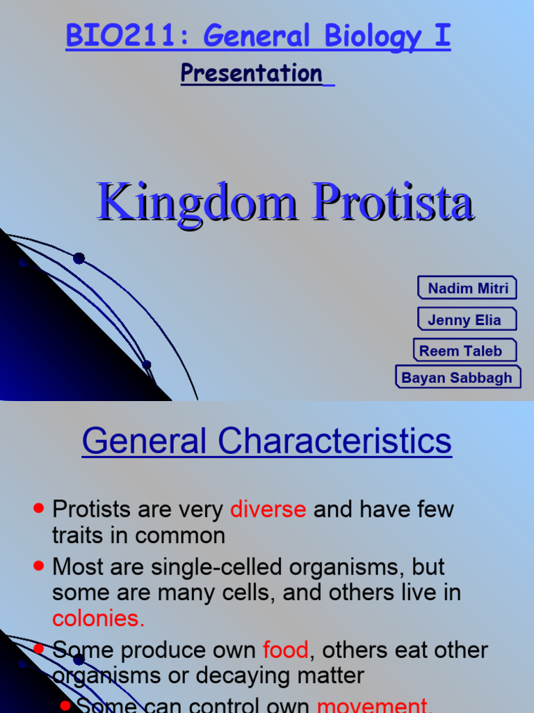 Protist Presentation | PDF | Algae | Reproduction