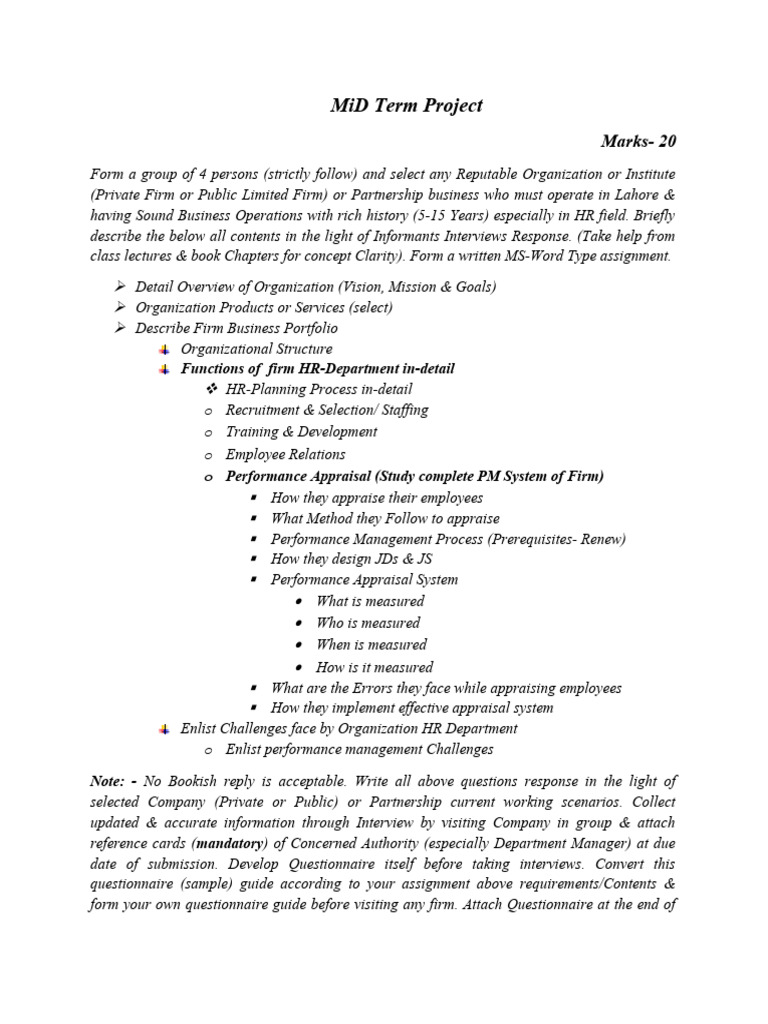 MiD Project Performance Management | PDF