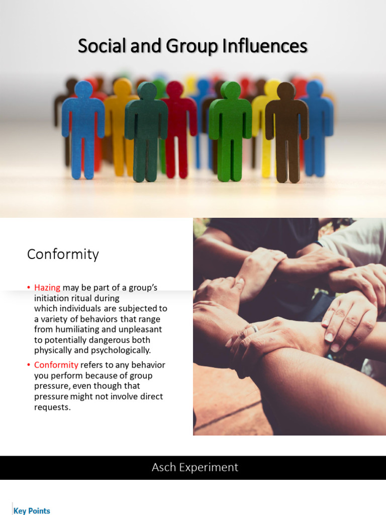 Social Influence | PDF