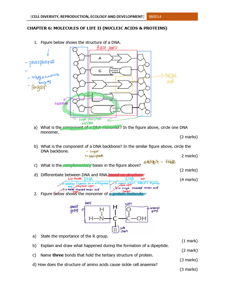 Chapter 6 - Tutorial Molec of Life II Qs (DFN) | PDF