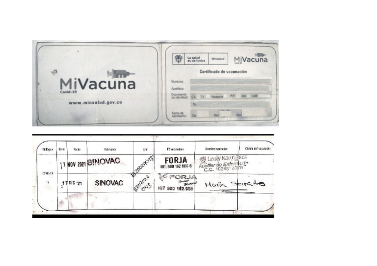 Carnet en Blanco para Llenar | PDF