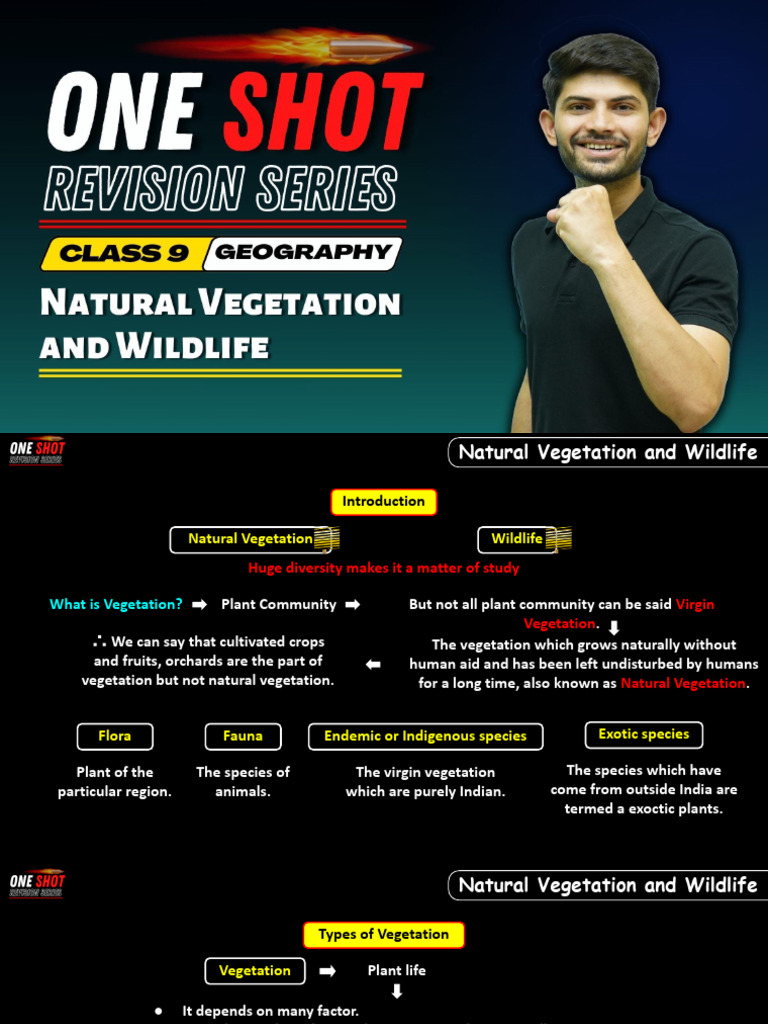 Natural Vegetation and Wildlife One Short | PDF | Forests | Botany