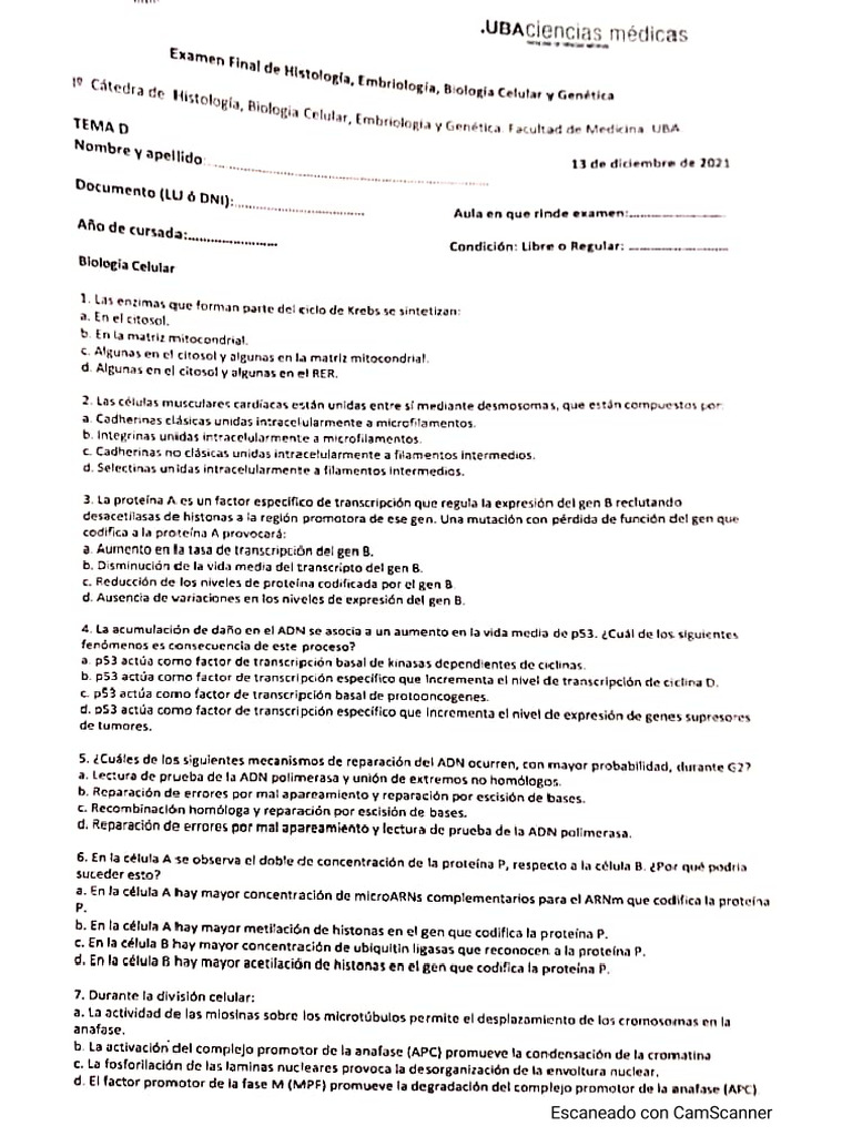 Resumenes, Finales | PDF