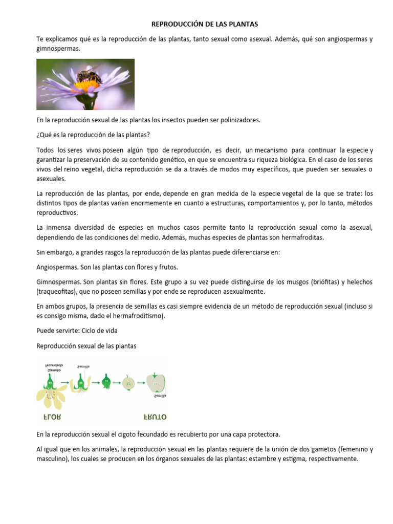 Reproducción de Las Plantas | PDF | Reproducción | Reproducción sexual