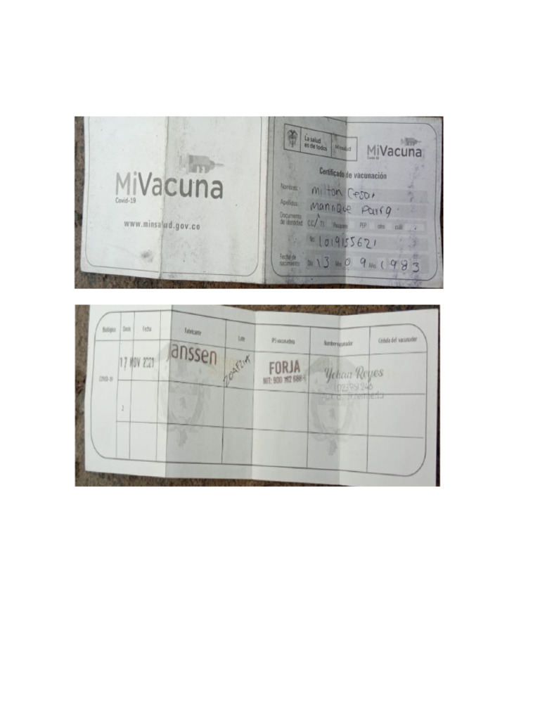 La Vacuna de Rabia de Todos Uwu | PDF