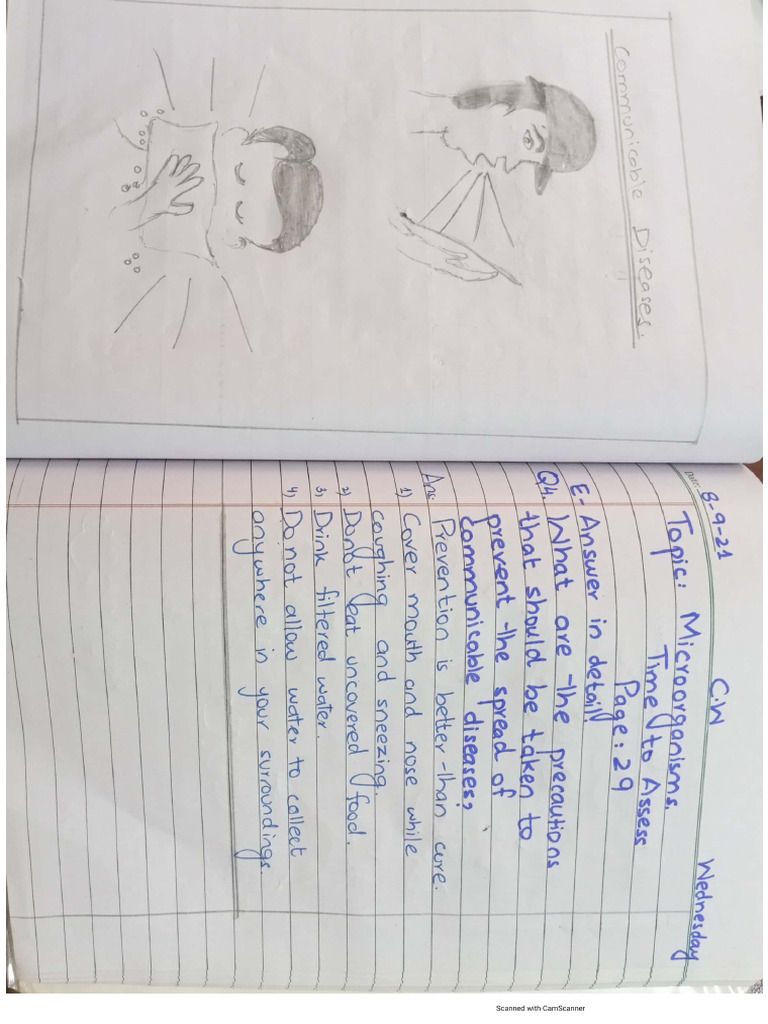 8-9-21 Science Grade 5 Work | PDF