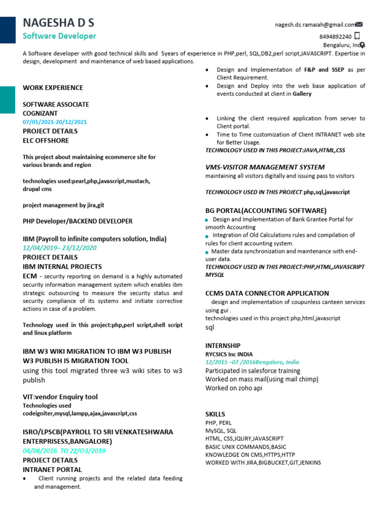 Software Developer Profile: Nagesha D S | PDF | Business