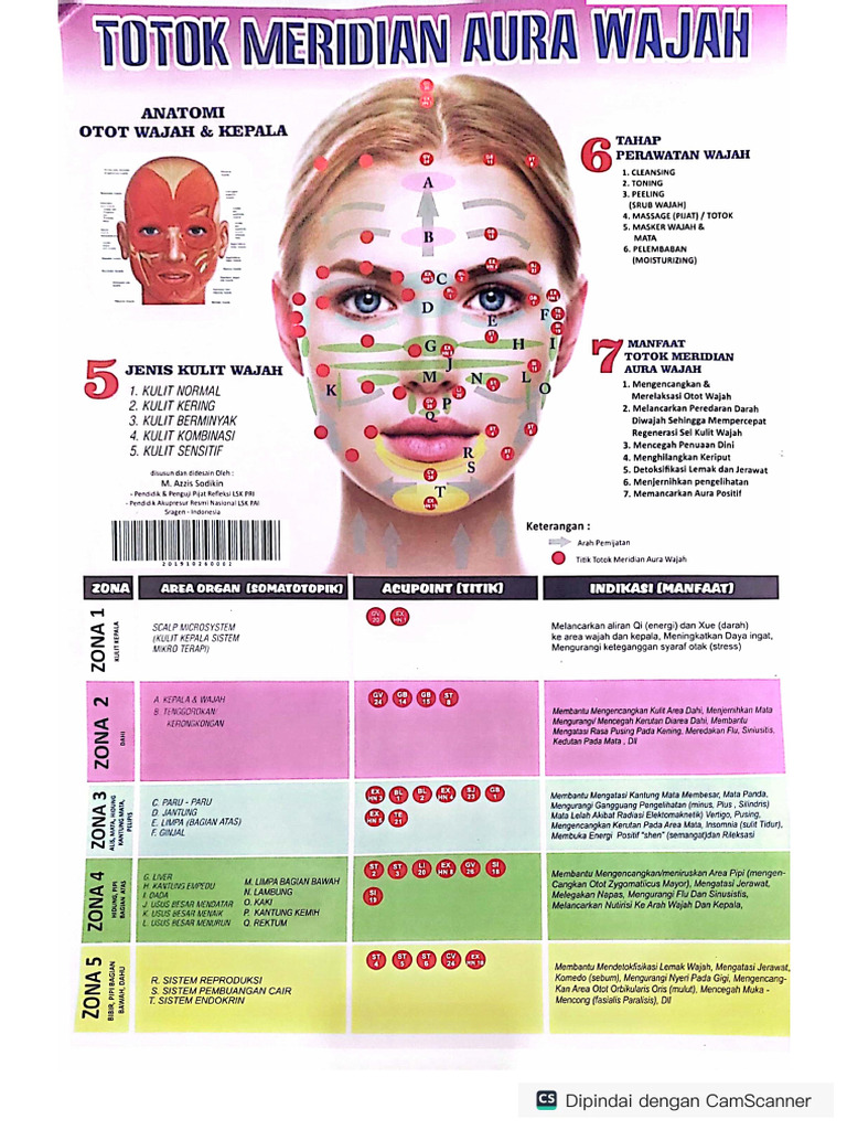 Totok Meridian Aura Wajah | PDF