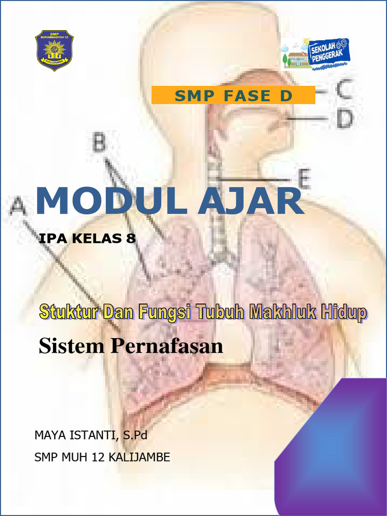 Modul Ajar Ilmu Pengetahuan Alam (IPA) - Modul Ajar IPA Sistem Pernafasan (Struktur&Fungsi Tubuh ...