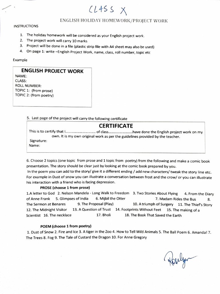 Class X Holiday Homework Project | PDF | Numbers | Chemical Reactions