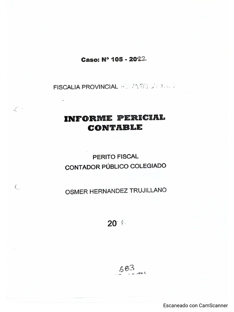 Informe Pericial Contable | PDF