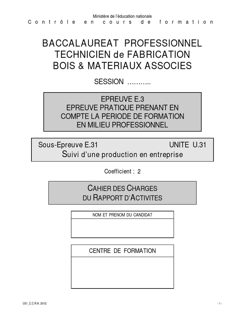 Rapport d'activités Bac Pro TFBMA | PDF | Ergonomie et facteurs humains