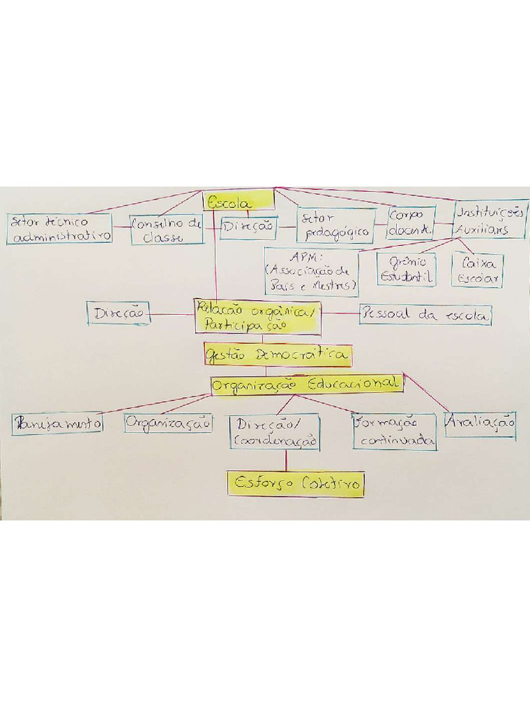 Mapa Conceitual | PDF