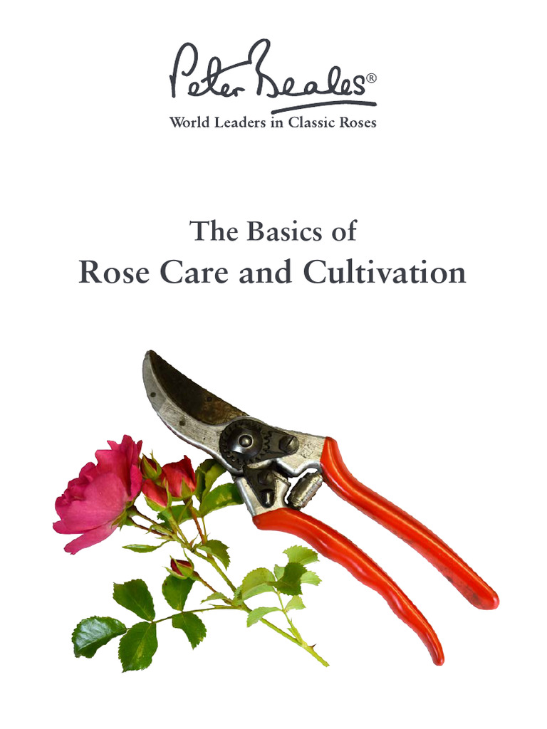 Care and Cultivation Fact Sheet A5 Leaflet | PDF