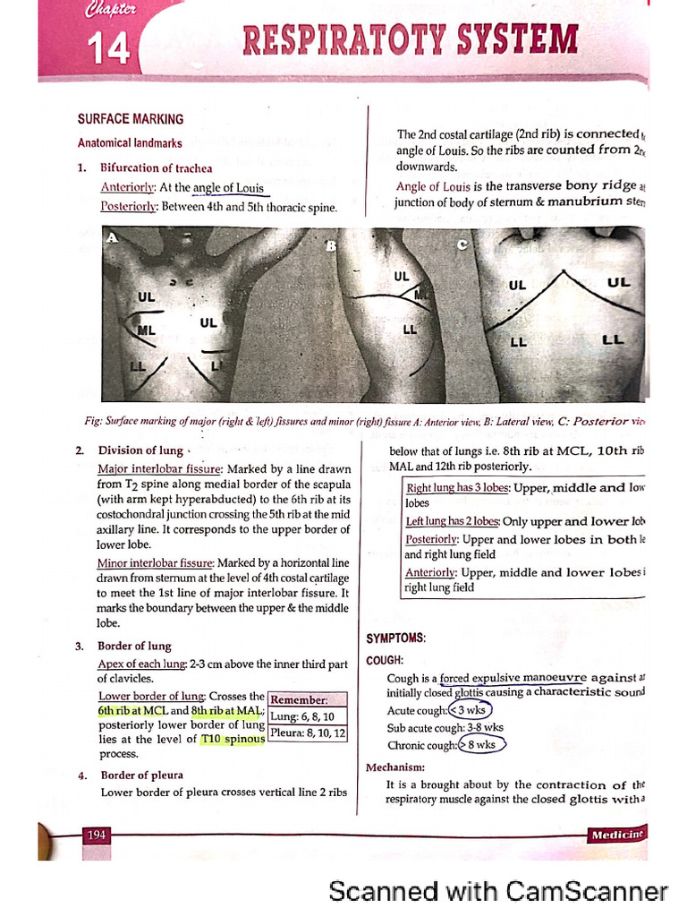 Respi Flashback | PDF