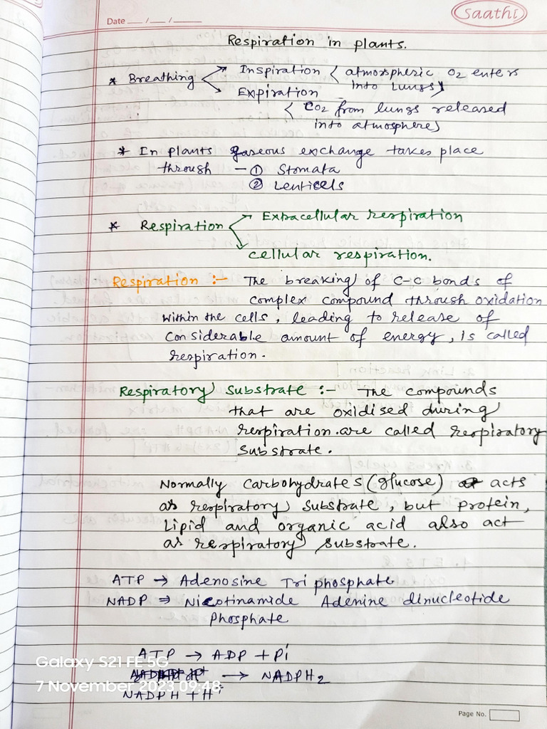 Respiration in Plants - Notes | PDF