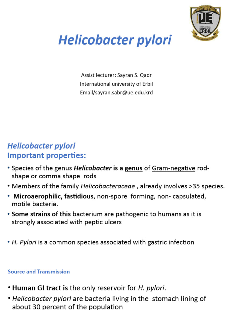 H. pylori: Key Facts for Medical Students | PDF | Gastroenterology ...