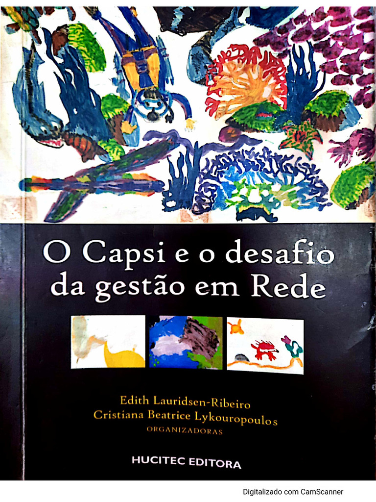 O Que É Um CAPS I? | PDF