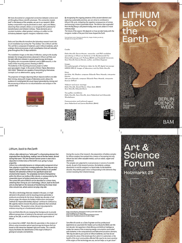 2023 11 01 10 BSW Lithium Flyer | PDF | Lithium | Lithium Ion Battery