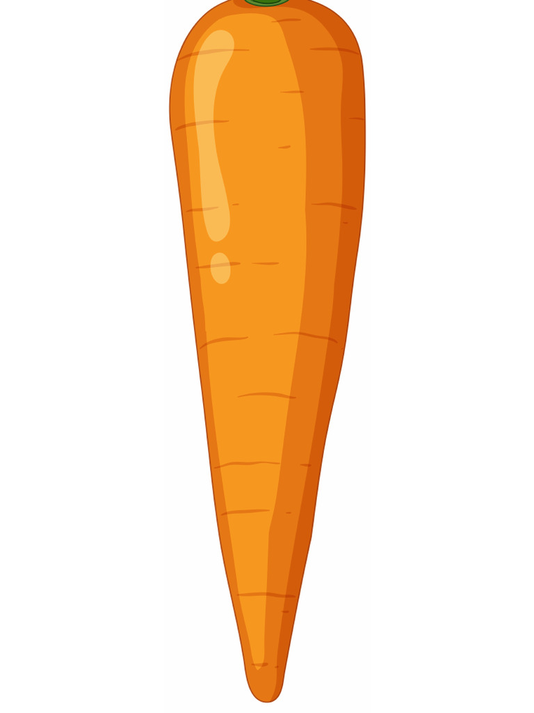Carrot | PDF