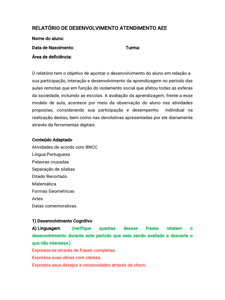 Relatorio Atendimento Individual Inclusão Modelo | PDF