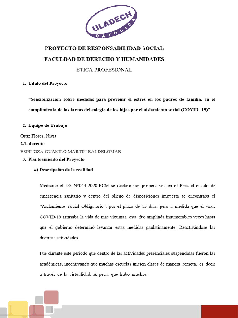 Proyecto de Responsabilidad Social | PDF