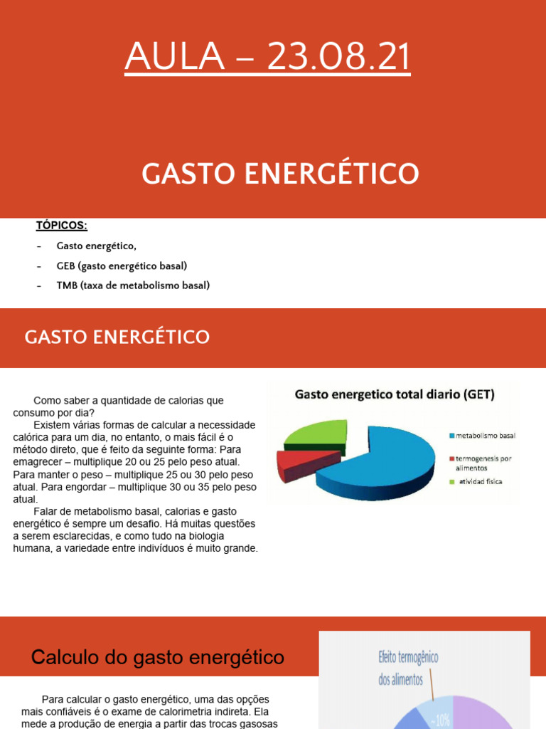 Gasto Energético 23.08.21 | PDF