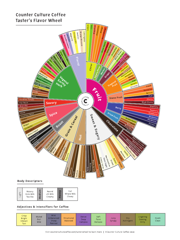 CCC Tasters Flavor Wheel en | PDF