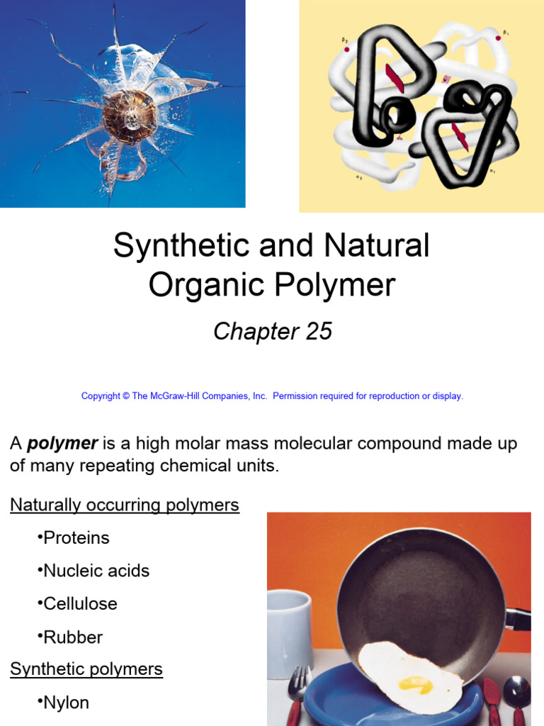 Chapter 25 Powerpoint L | PDF