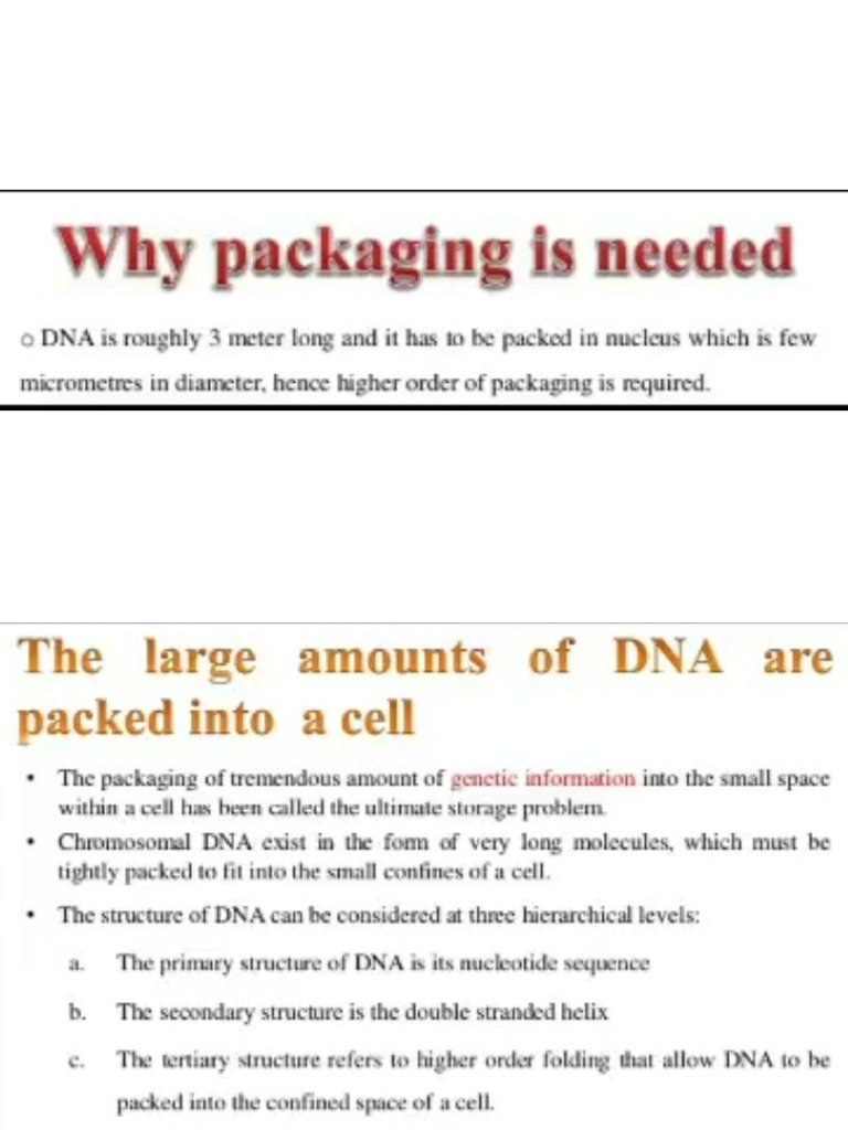 DNA Packaging | PDF